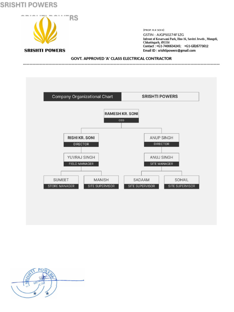 Srishti Powers Org Chart | PDF