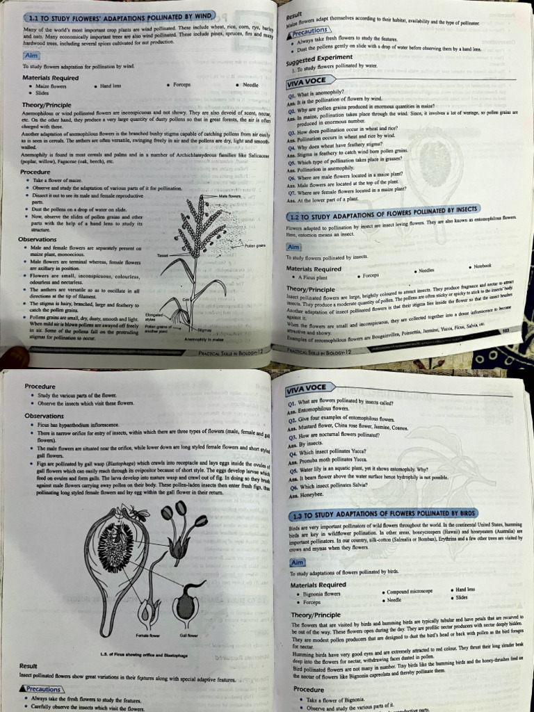 Biology Spotting Experiment | PDF