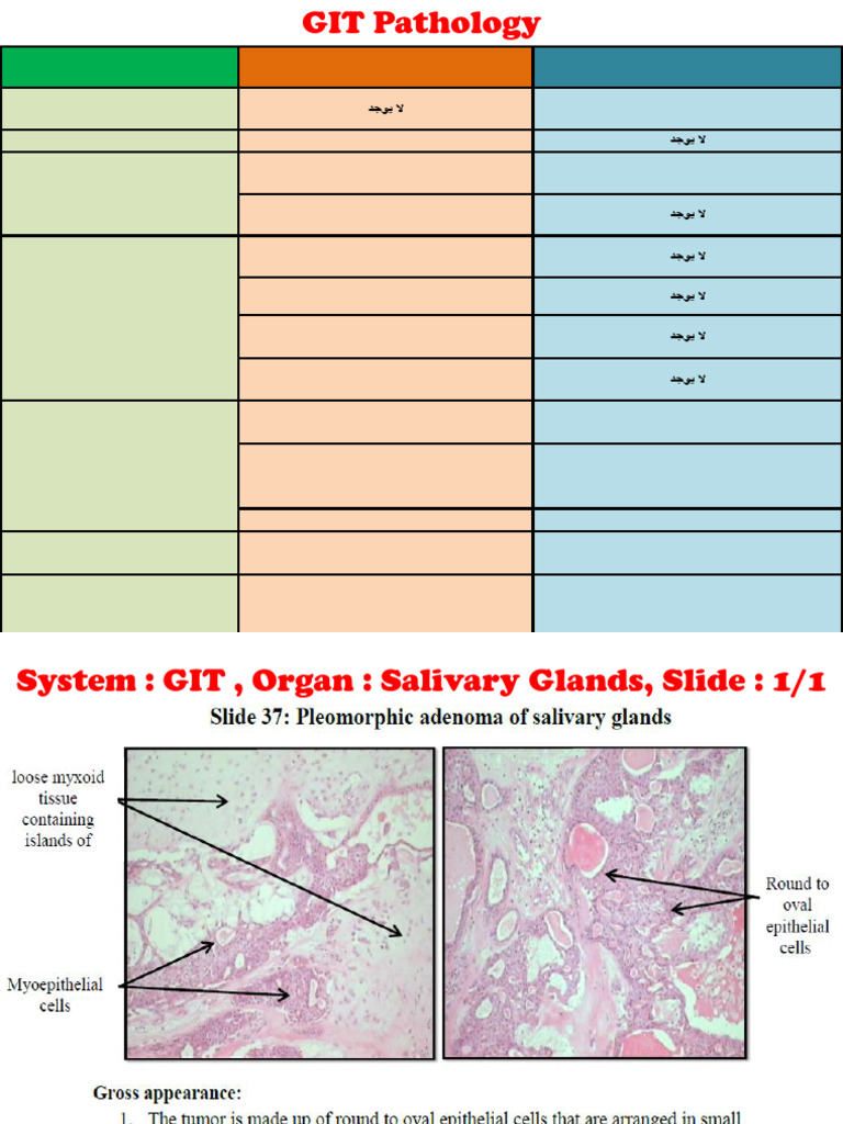 3- GIT Pathology Lab | PDF