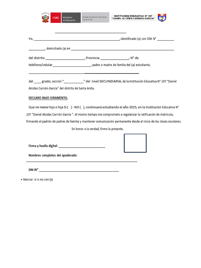 Formato de Continuidad para El PPFF | PDF