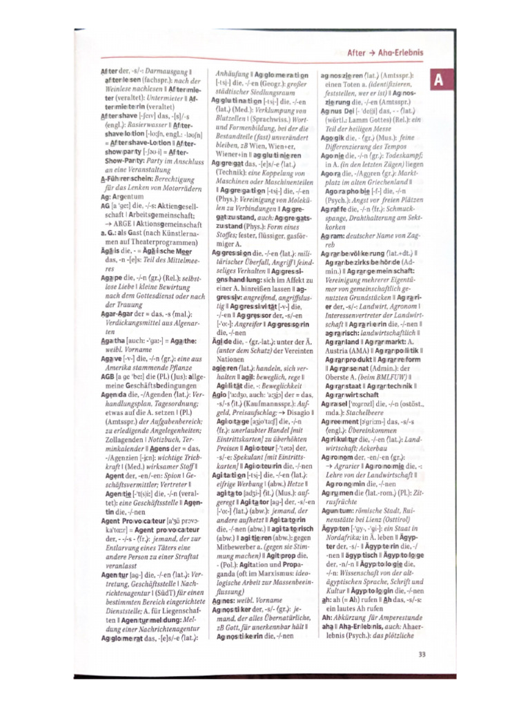 Wörterbuch Eintrag | PDF