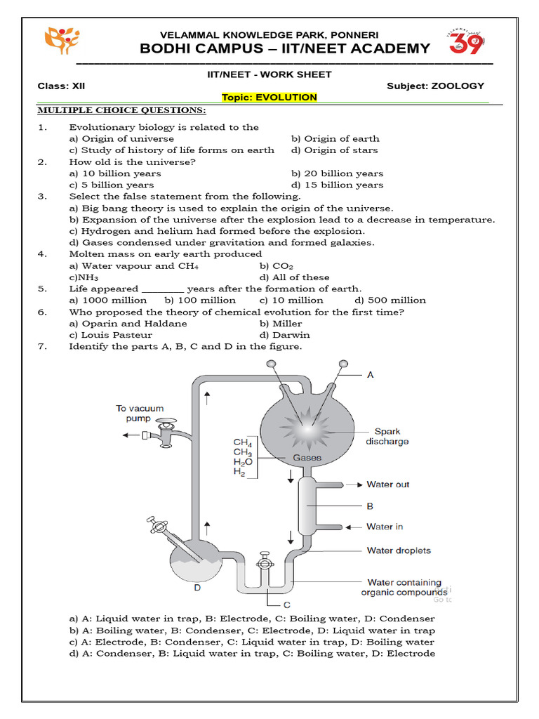 Evolution - Zoology - NEET Work Sheet | PDF | Homo | Abiogenesis