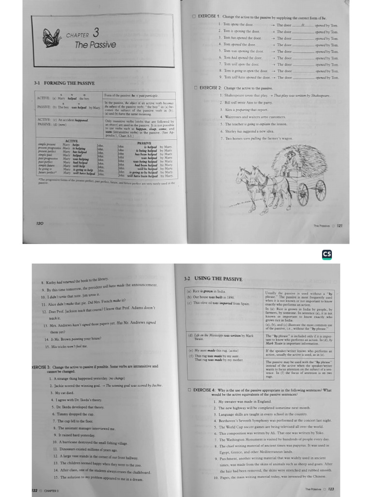 The Passive (1) | PDF