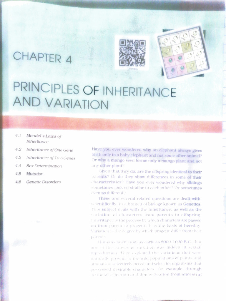 Scan 09-Dec-2024 | PDF