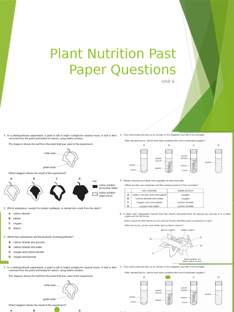 Plant Nutrition IGCSE Past Paper Questions | PDF