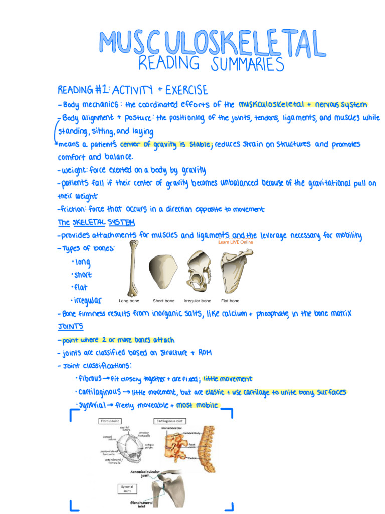 Musculoskeletal Notes | PDF | Cartilage | Causes Of Death