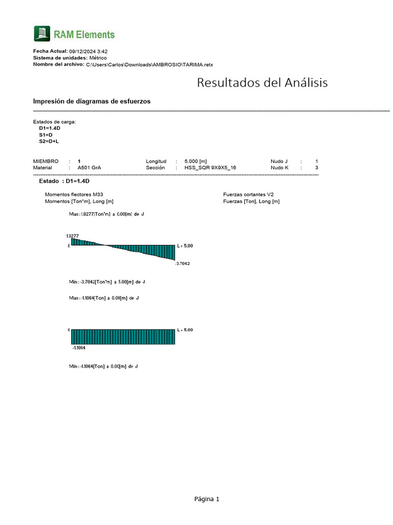 Reporte de RAM Elements | PDF