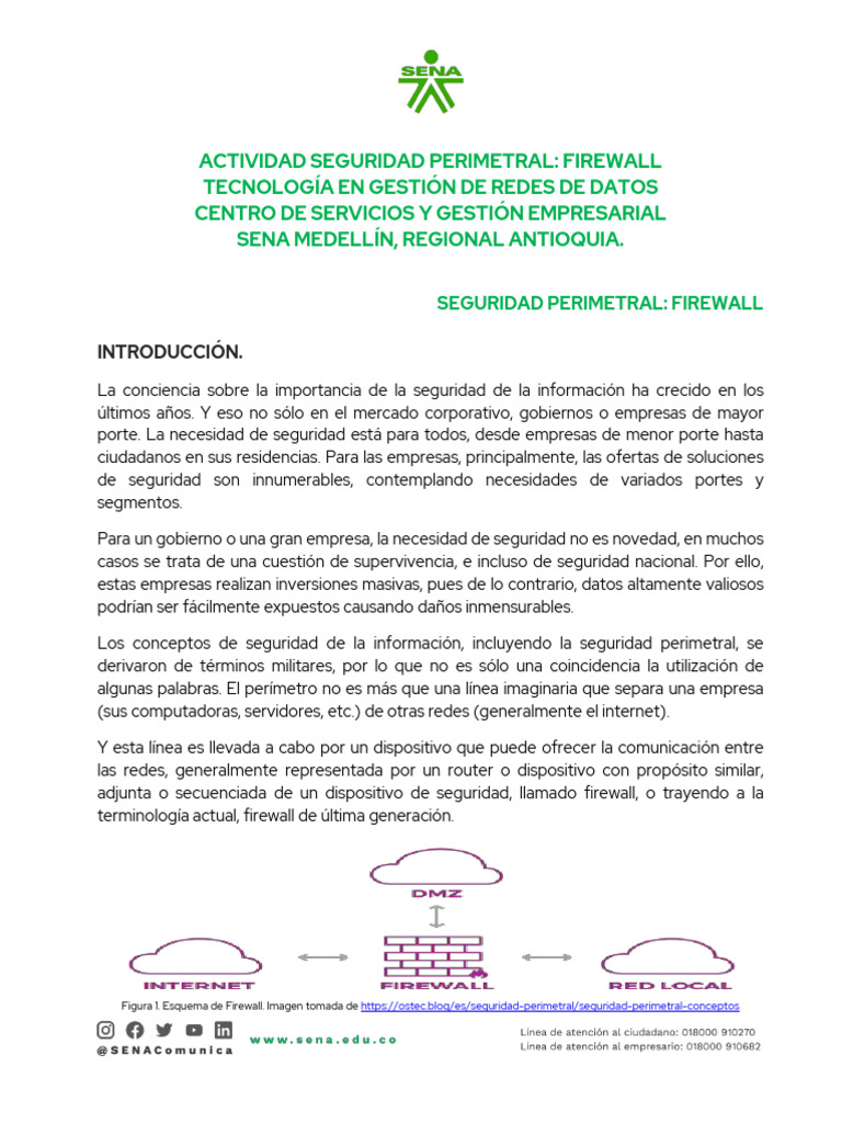 Seguridad Perimetral con Firewalls | PDF | Cortafuegos (informática) | Red de computadoras