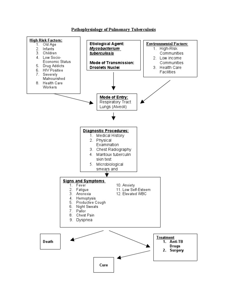 Pathophysiology PTB | PDF