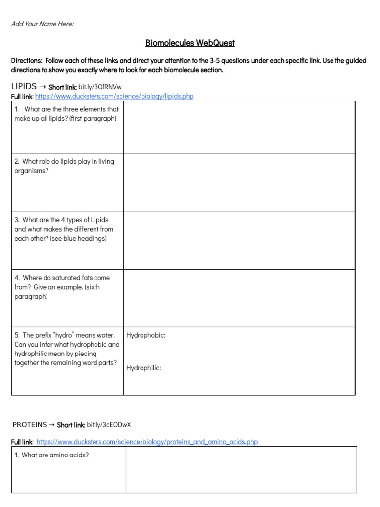 Biomolecules Webquest_-1902673057 | PDF | Biomolecules | Carbohydrates