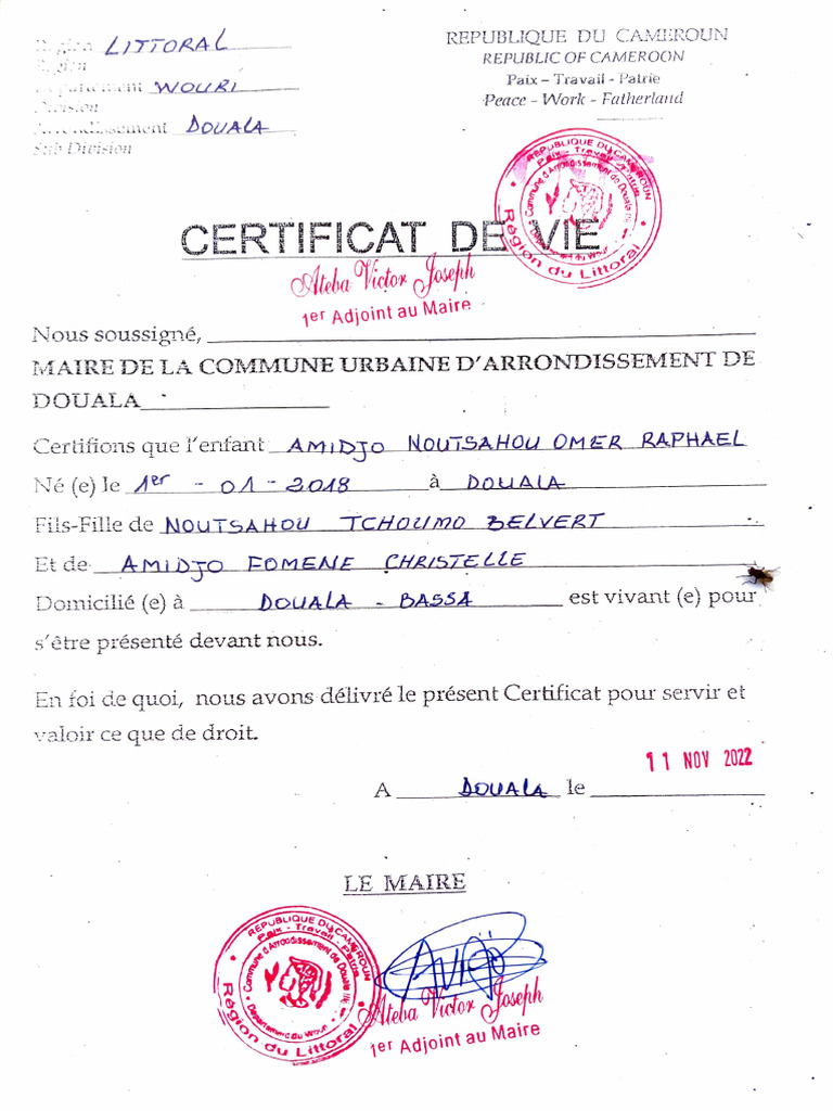 Allocation Familiale | PDF