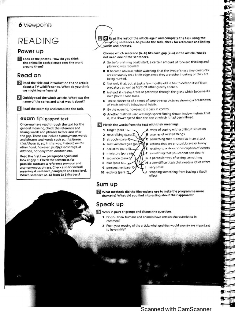 Segovia Scales For Classic Guitar | PDF