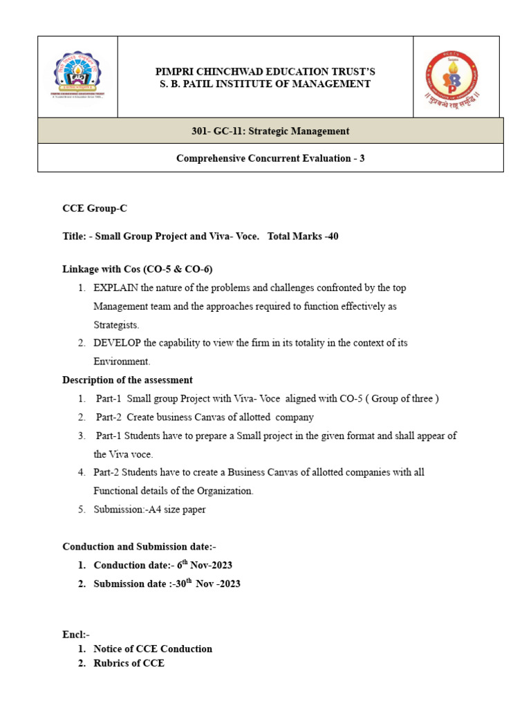 Strategic Management Project Guidelines | PDF