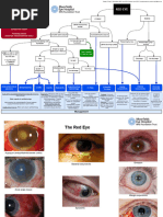 Escalas de Efron | PDF | Cornea | Contact Lens
