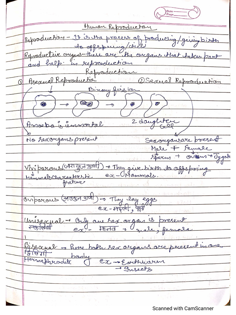 Biology 2 | PDF