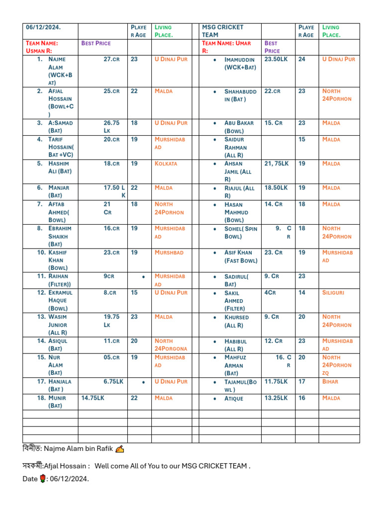 MSG CRICKET TEAM of MSPL-2024-2025 | PDF