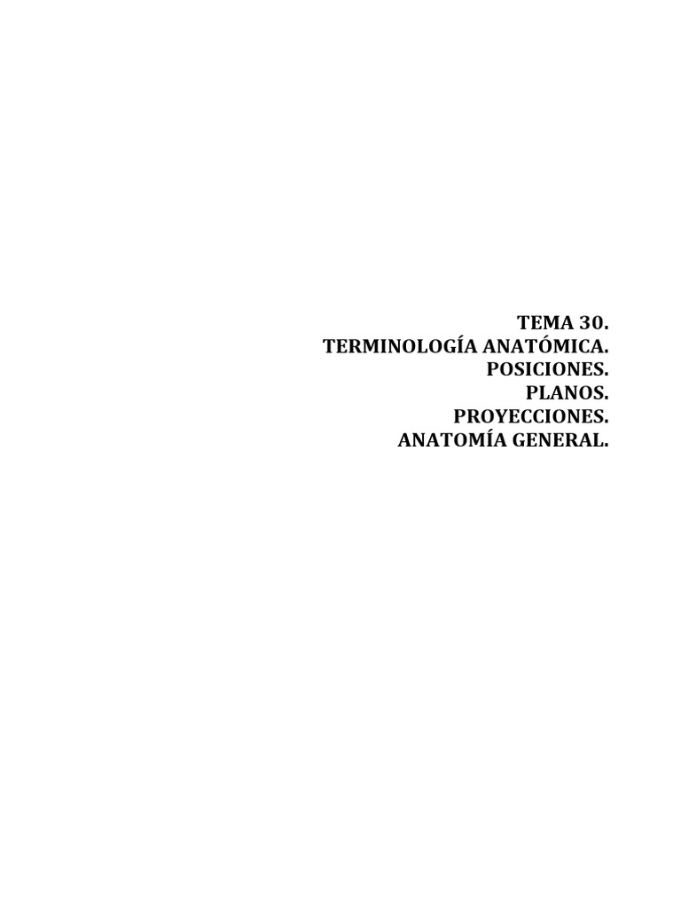 Terminología Anatómica y Posiciones | PDF | Mano | Términos anatómicos ...