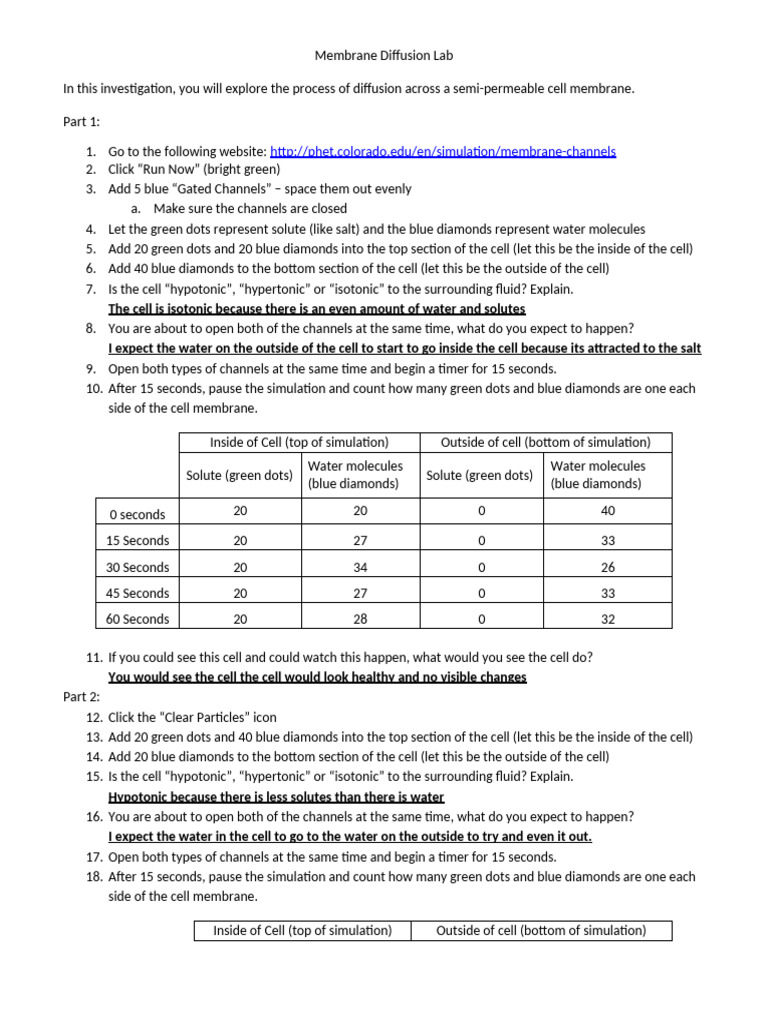 Virtual Membrane Diffusion Lab | PDF | Cell Biology