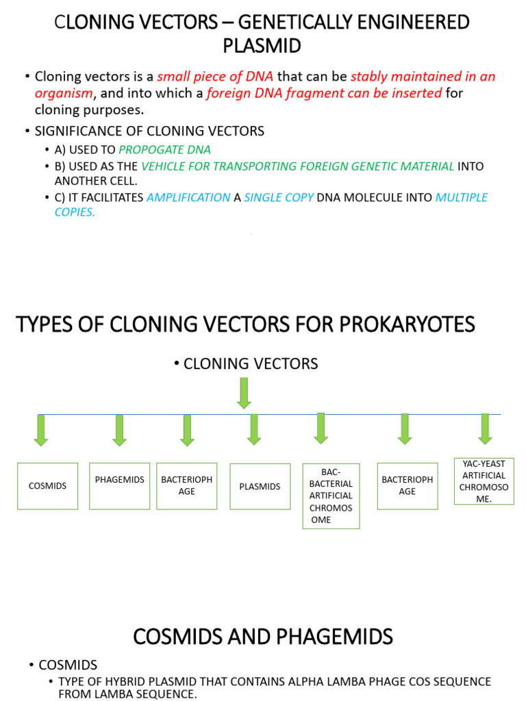 Grade XII-PBR 322 and Alternate Selectable Markers | PDF | Plasmid ...