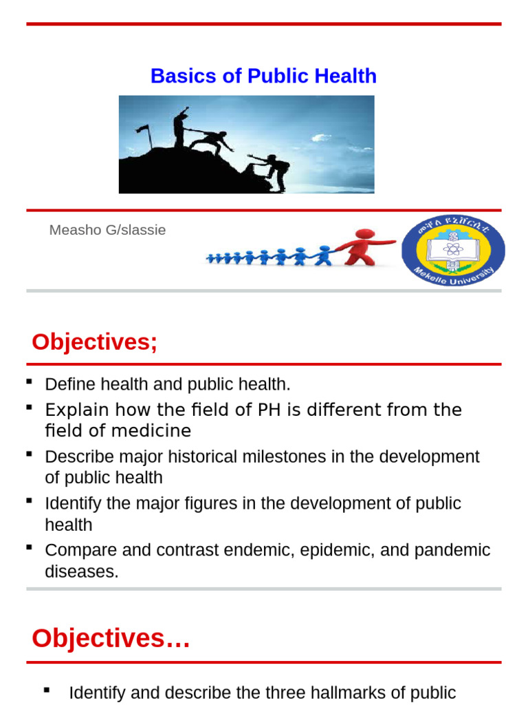 Overview of Public Health Basics | PDF | Black Death | Medicine