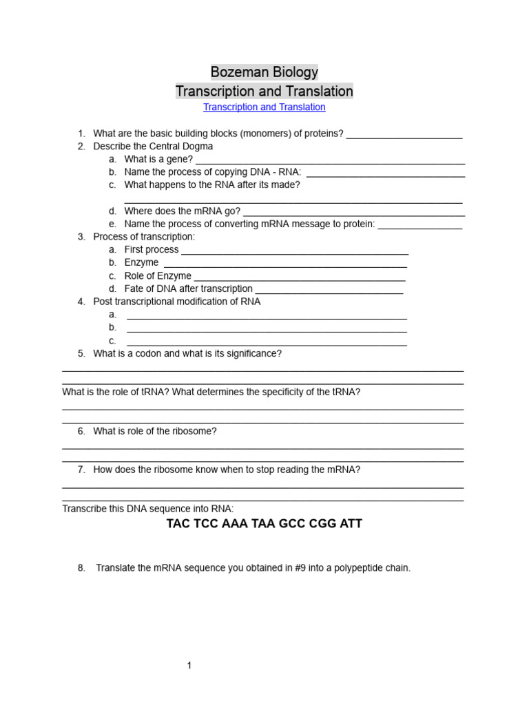 Transcription+and+Translation.docx+(1) | PDF