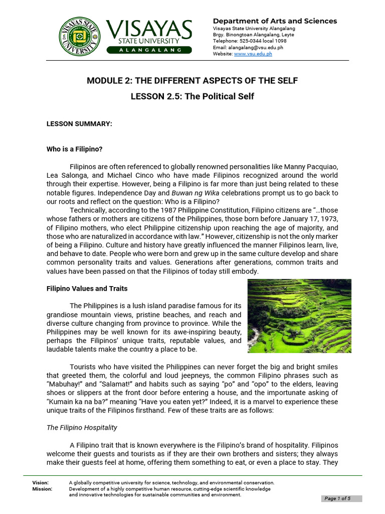 SCSC 11n Lesson 2.5 Summary The Political Self | PDF
