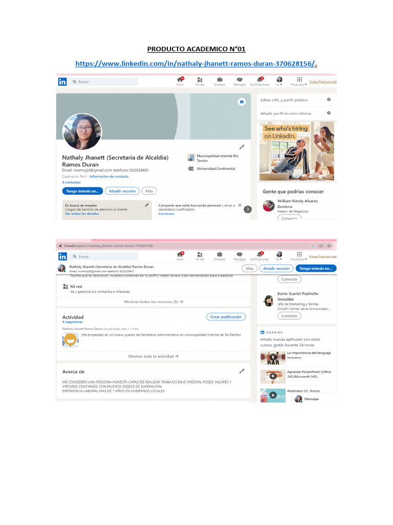 PRODUCTO ACADEMICO N °01 | PDF