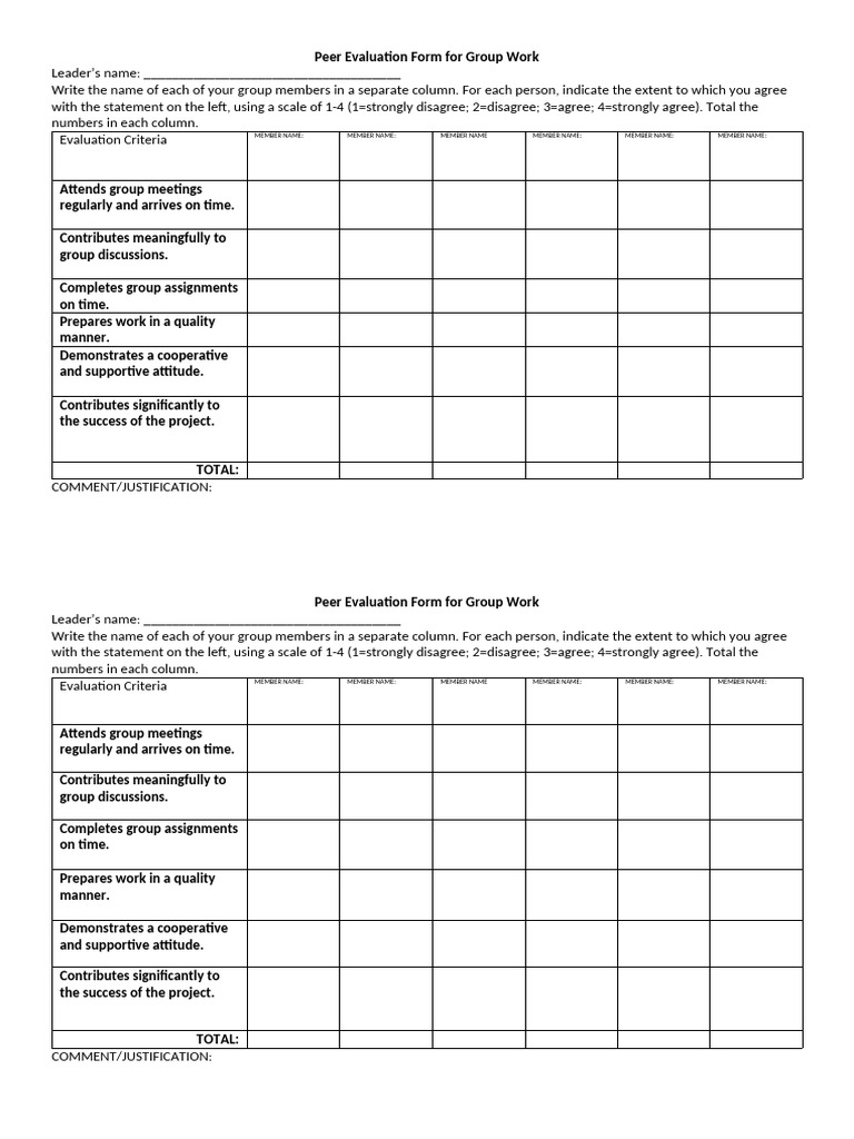 Peer Evaluation Form For Group Work 1 | PDF