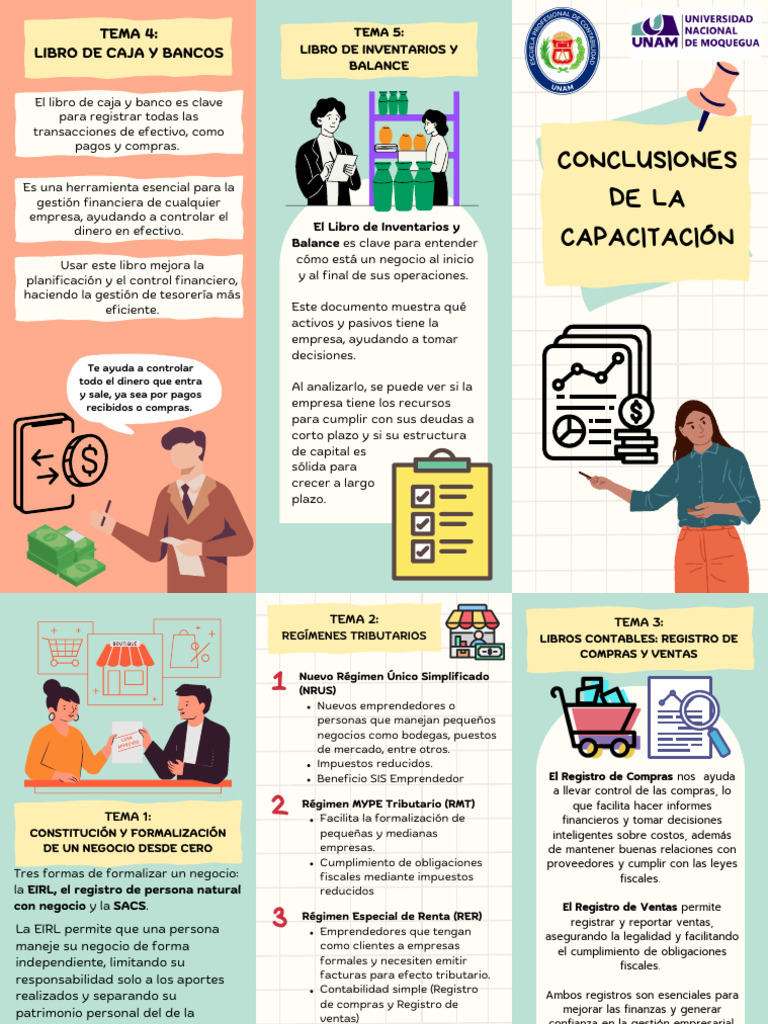TRIPTICO CIAM | PDF | Hoja de balance | Business