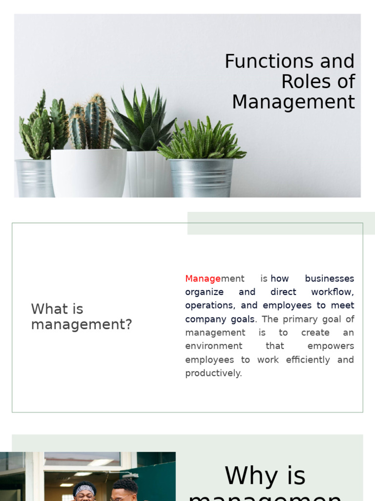 Management Function and Roles | PDF | Strategic Planning | Goal