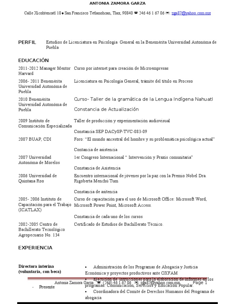Perfil Profesional de Antonia Zamora Garza | PDF