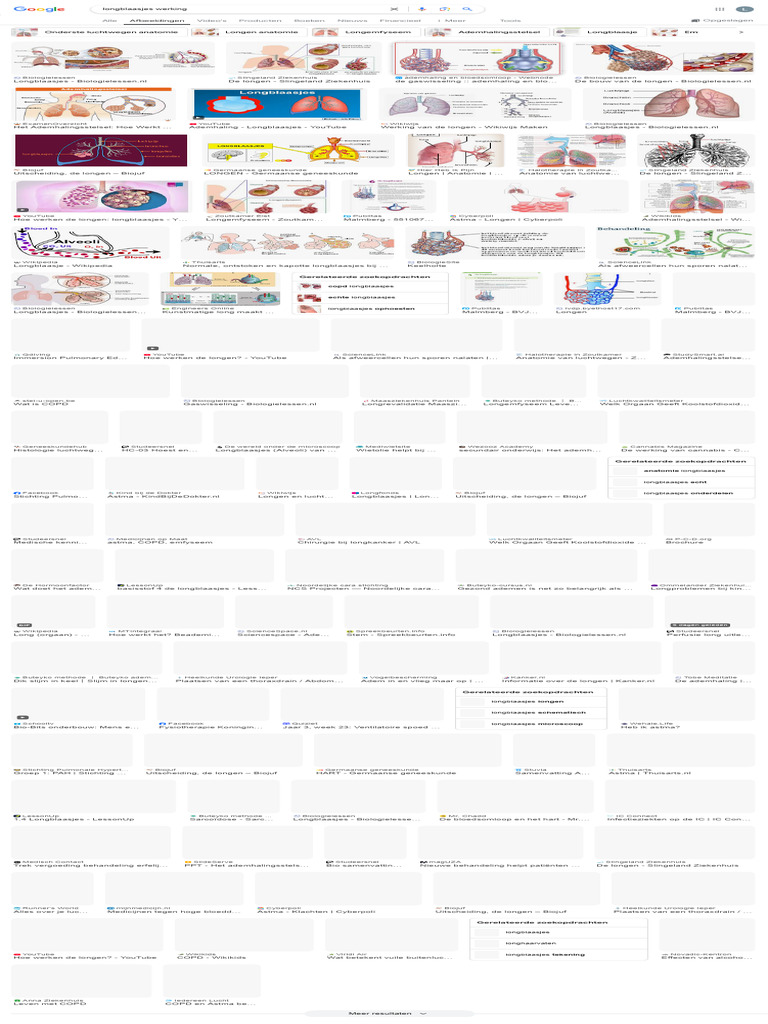 Longblaasjes Werking - Google Zoeken | PDF