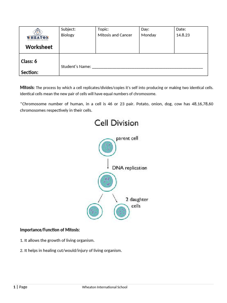 G-6_Biology_ Mitosis and Cancer WORKSHEET | PDF