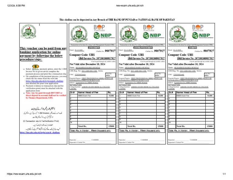 Muhammad Hamza Mumtaz | PDF | Service Industries | Money