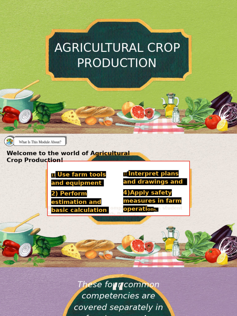 Crop Production | PDF | Agricultural Machinery | Plough