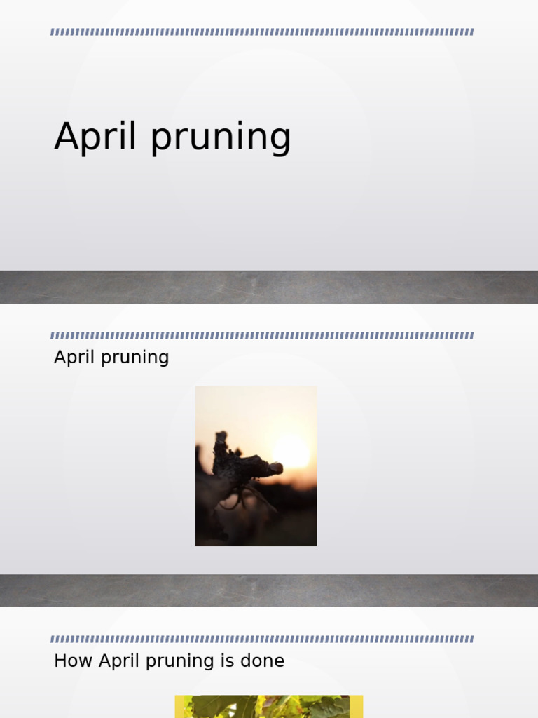 April Pruning | PDF