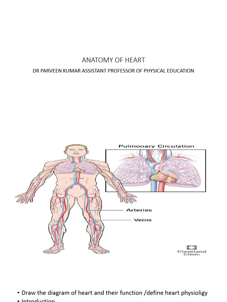Anatomy Of Heart Pdf Heart Heart Valve