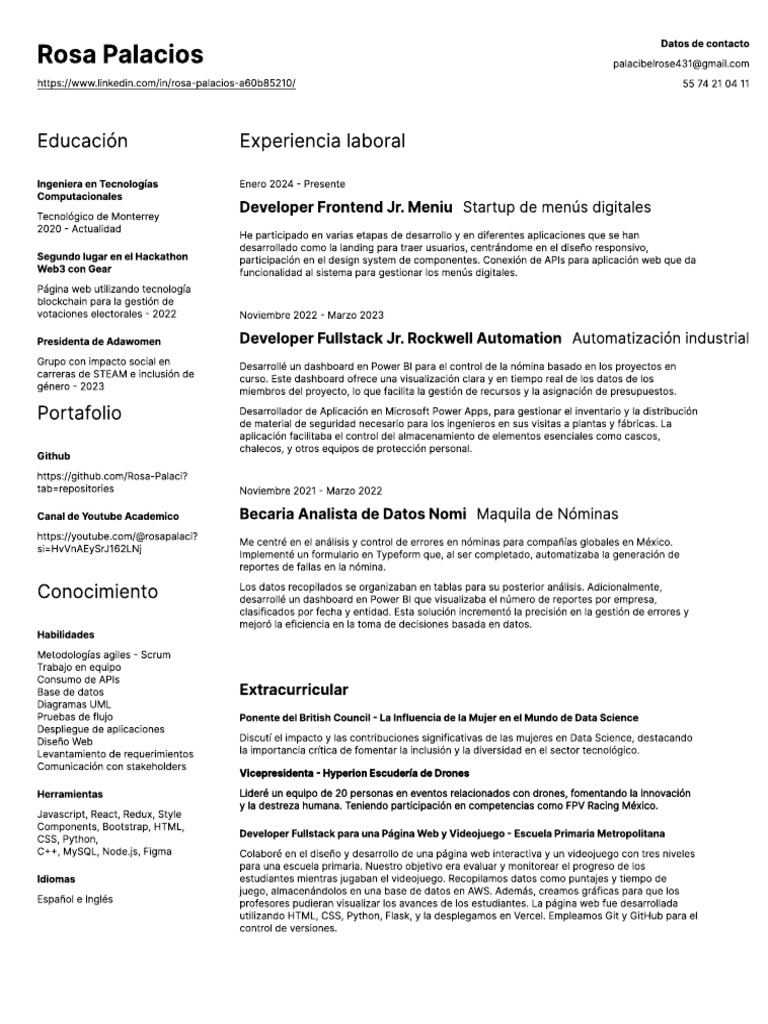 CV-rosa-palacios | PDF | Red mundial | Internet y web