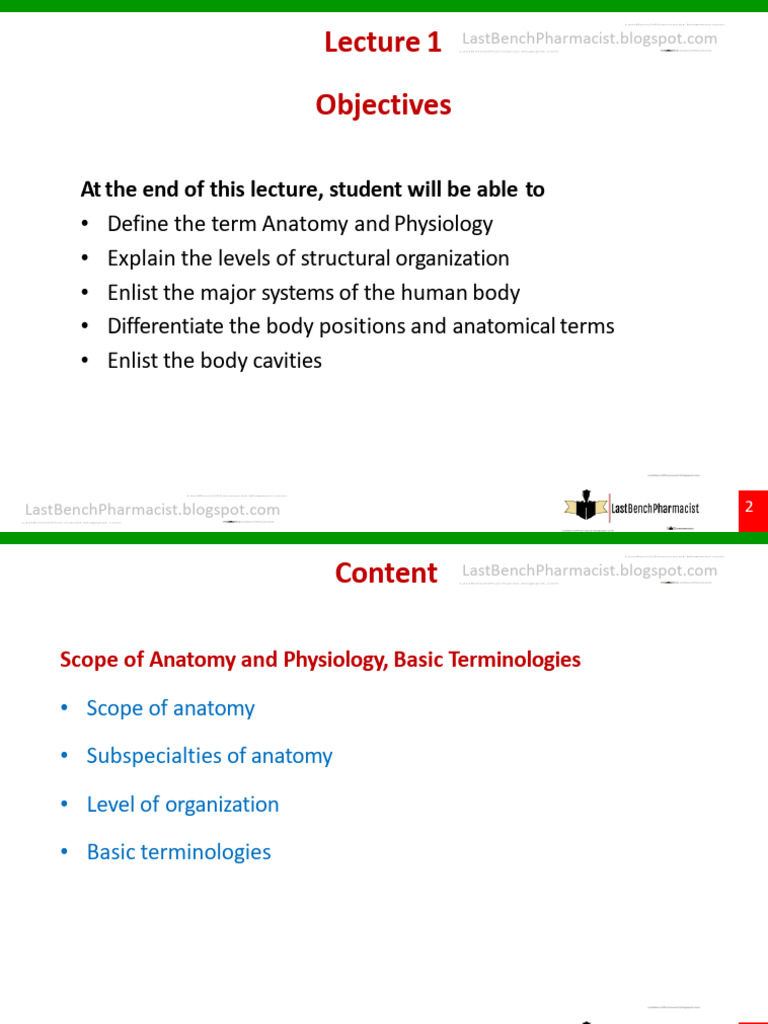 Anatomy and Physiology Overview | PDF | Anatomical Terms Of Location ...