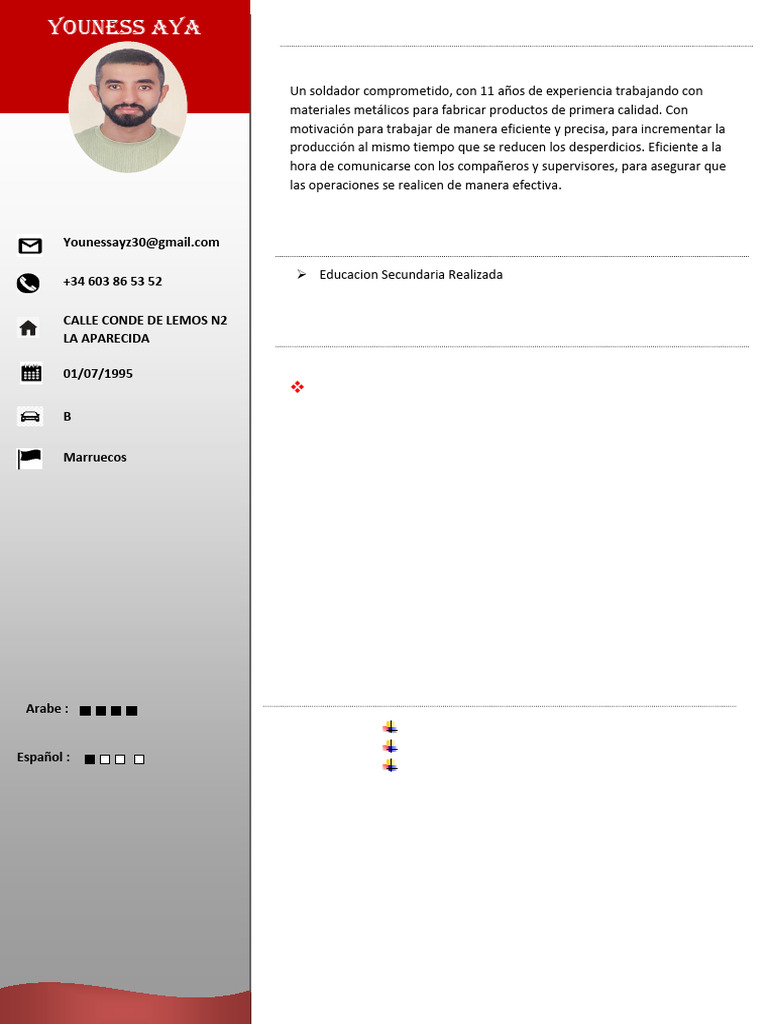 CV YOUNES AYA Kk (7) | PDF