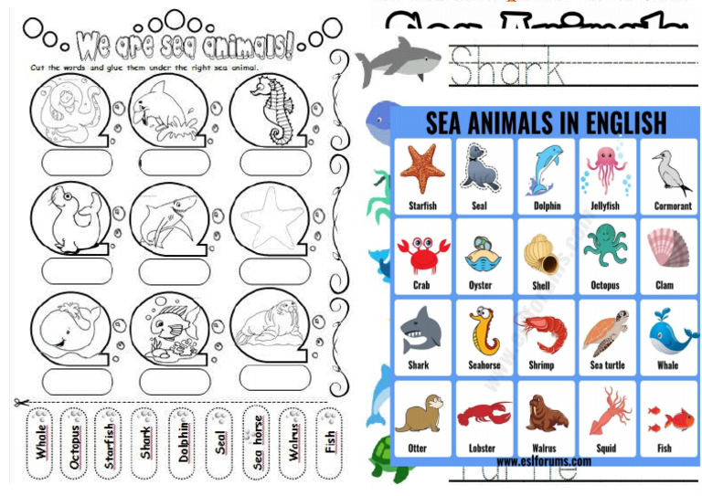 Sea Animals Worksheet | PDF