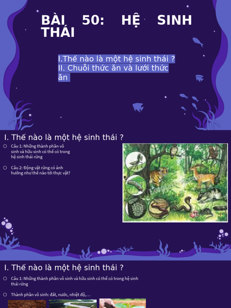 Aquatic Biomes Animals Activities For Elementary Infographics by ...