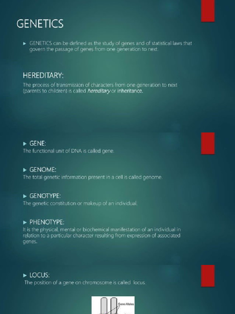 Basic Genetics | PDF