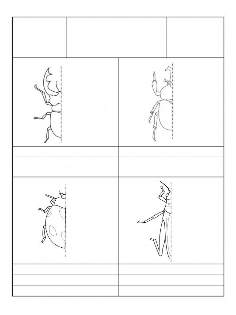 Google Ar Worksheet (Kate Hwang) | PDF