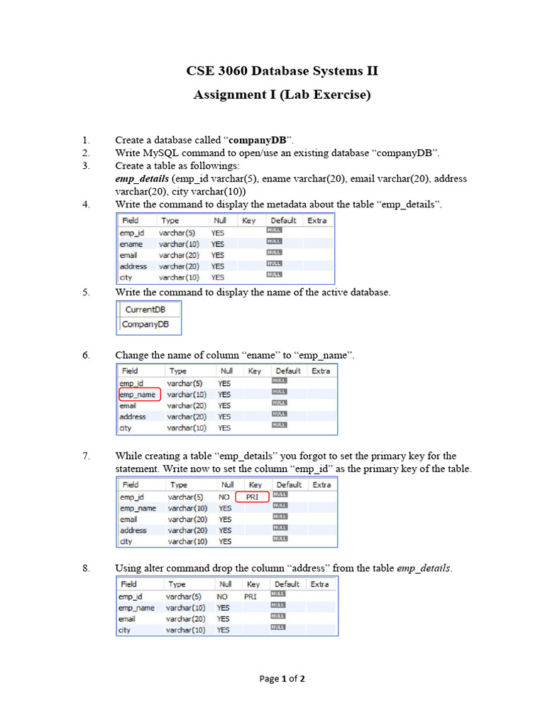 CSE 3060 DB II_Assignment 1 | PDF