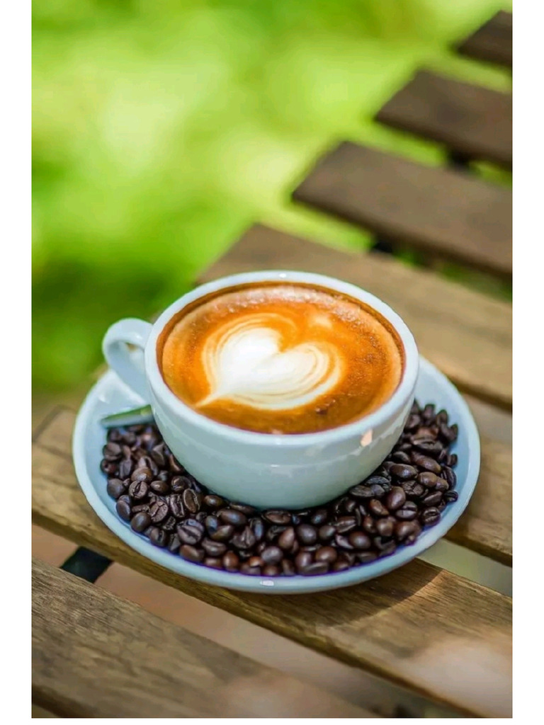 PDF Gallery - 20241209 - 202453 | PDF