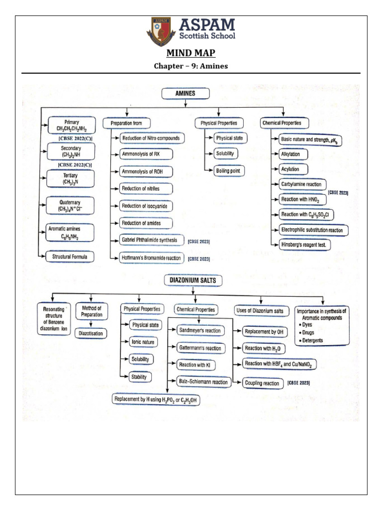 Mind Map Amines XII | PDF