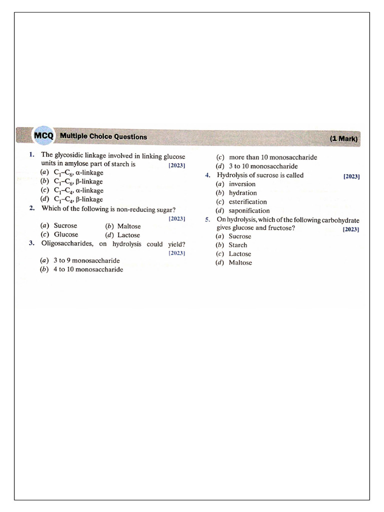 Worksheet Biomolecules XII | PDF