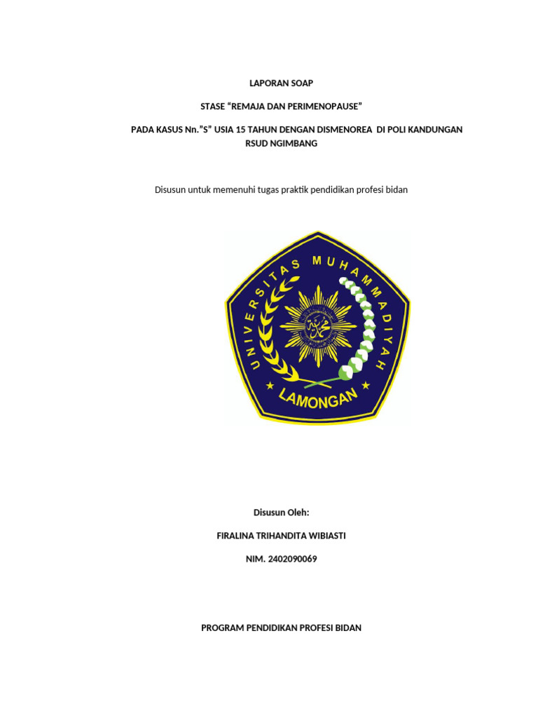 Soap KB Suntik 3 Bulan | PDF