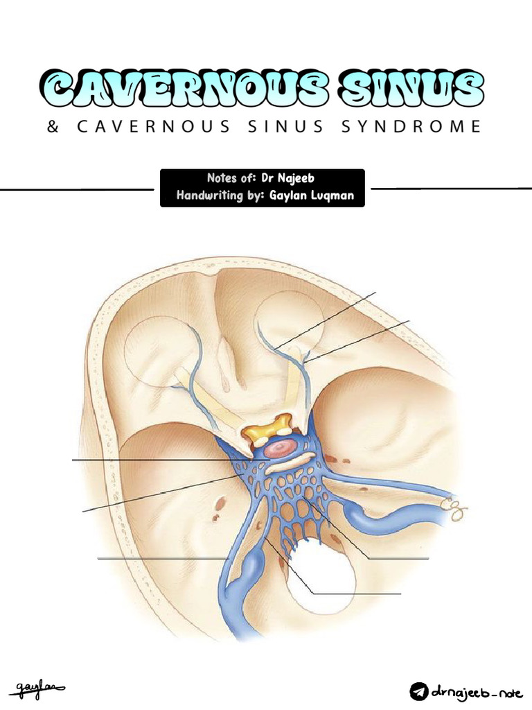 Cavernous Sinus Anatomy Overview | PDF | Human Anatomy | Human Head And ...